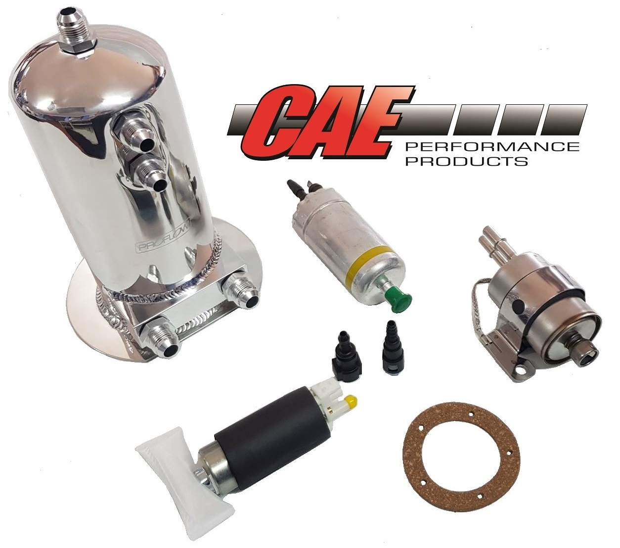 www.caeperformanceproducts.com.au - EFI Conversions